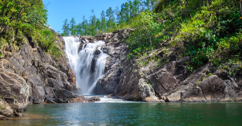 CDT Time Now – Central Daylight Time Zone ️