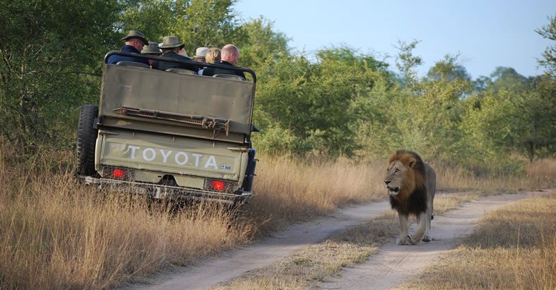 WAT Time Now – West Africa Time Zone ️