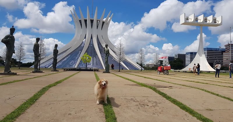 Current Time In Brasilia ️