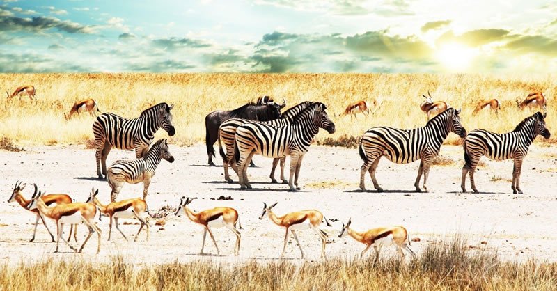 Current Time In Kigali ️