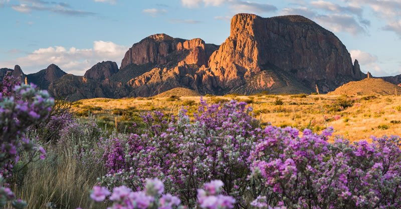 Current Time In New Mexico ️